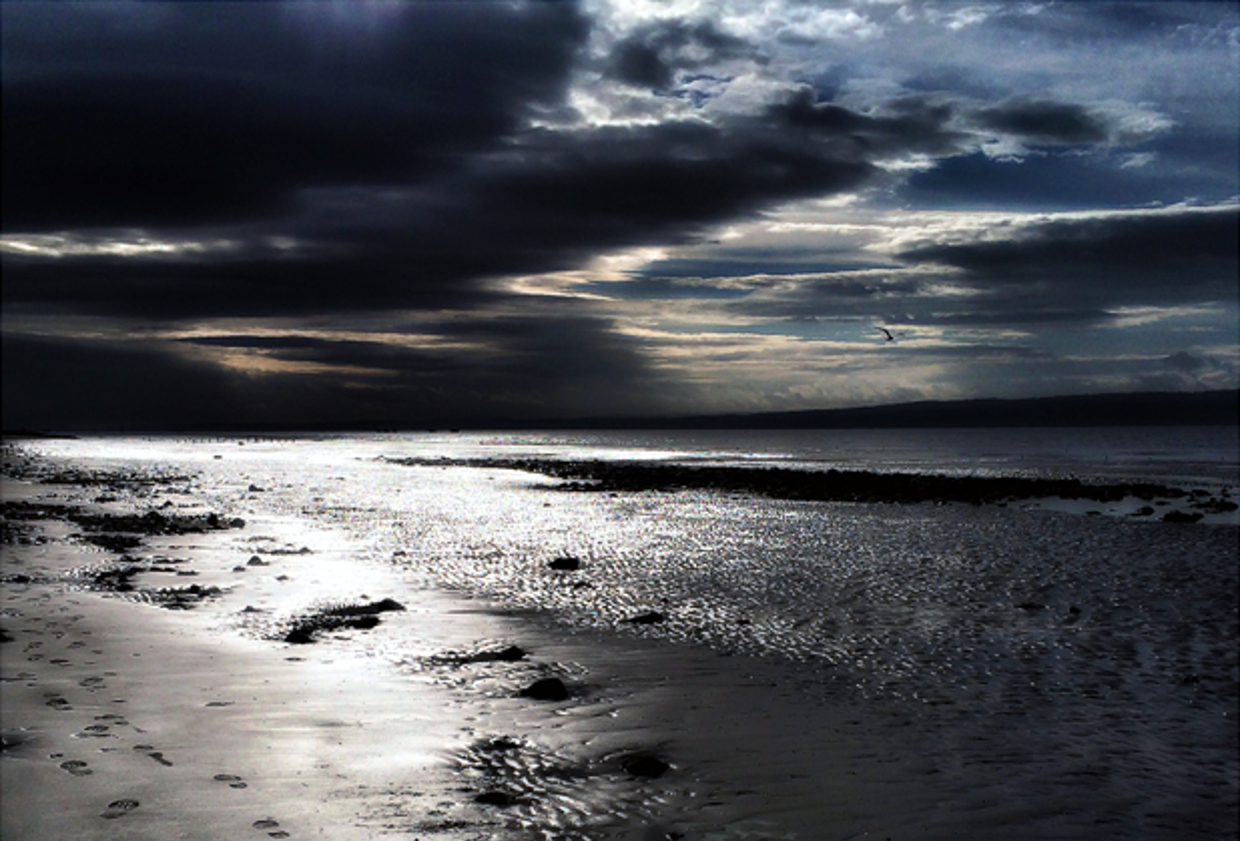 Slider dot-art Artist • dot-art