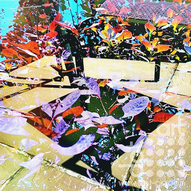 garden 002 by david john pearson • dot-art