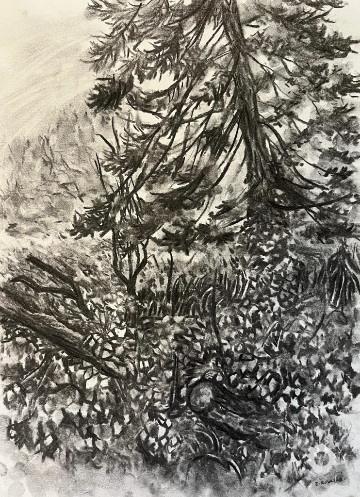 Woodland Study No 2 • dot-art